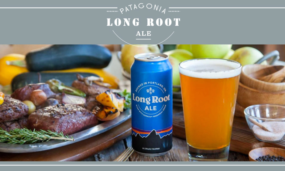 暢飲夏日迷人的風味，野外露營必備的大人味飲品：Patagonia Long Root Ale 葡萄柚風味啤酒 - TRENDSFOLIO